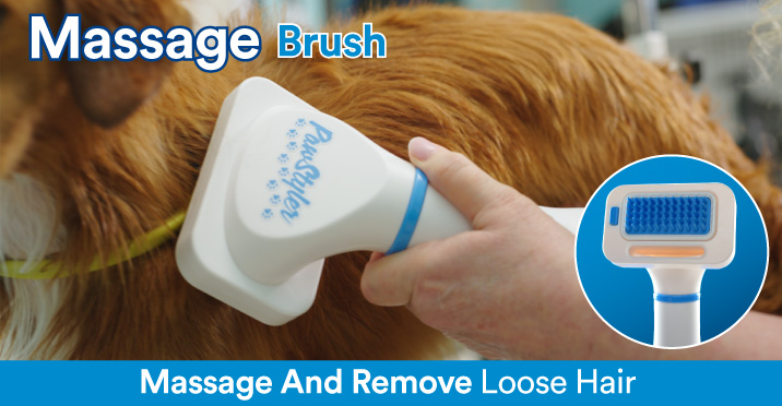 Paw Styler | 5-in-1 Pet Grooming Kit and Dryer