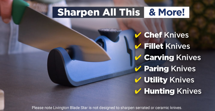 Livington Blade Star 2 Pack | Precision Knife Sharpener