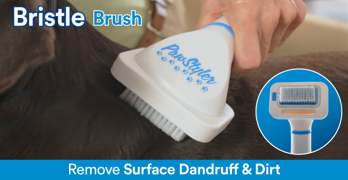 Paw Styler | 5-in-1 Pet Grooming Kit and Dryer