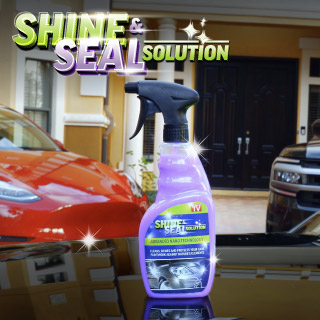 Shine & Seal Solution